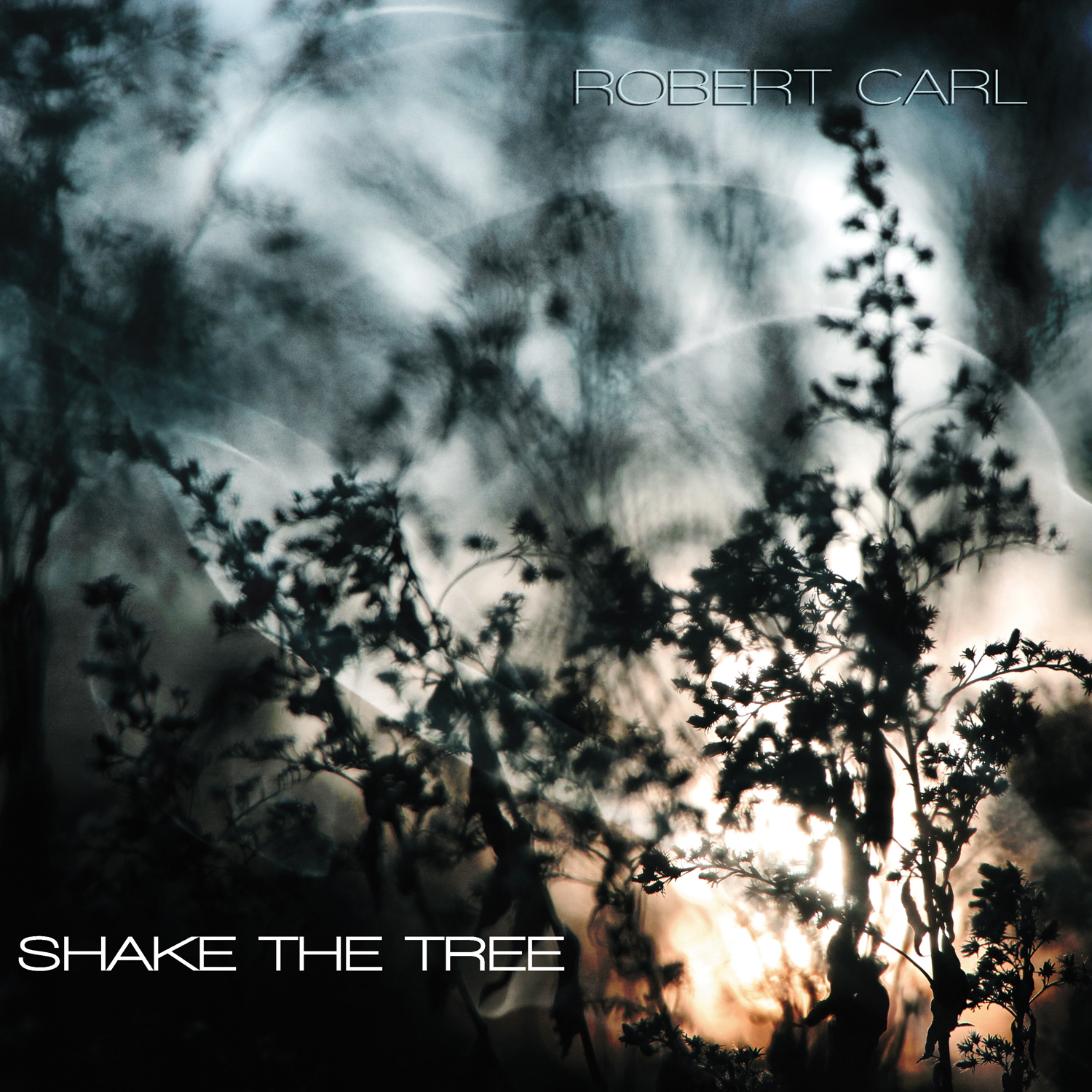 Shake the Tree | Innova® Recordings